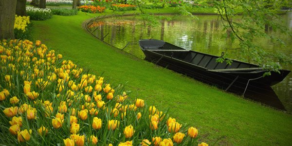 Spring Considerations | Greenworks Ecoscapes