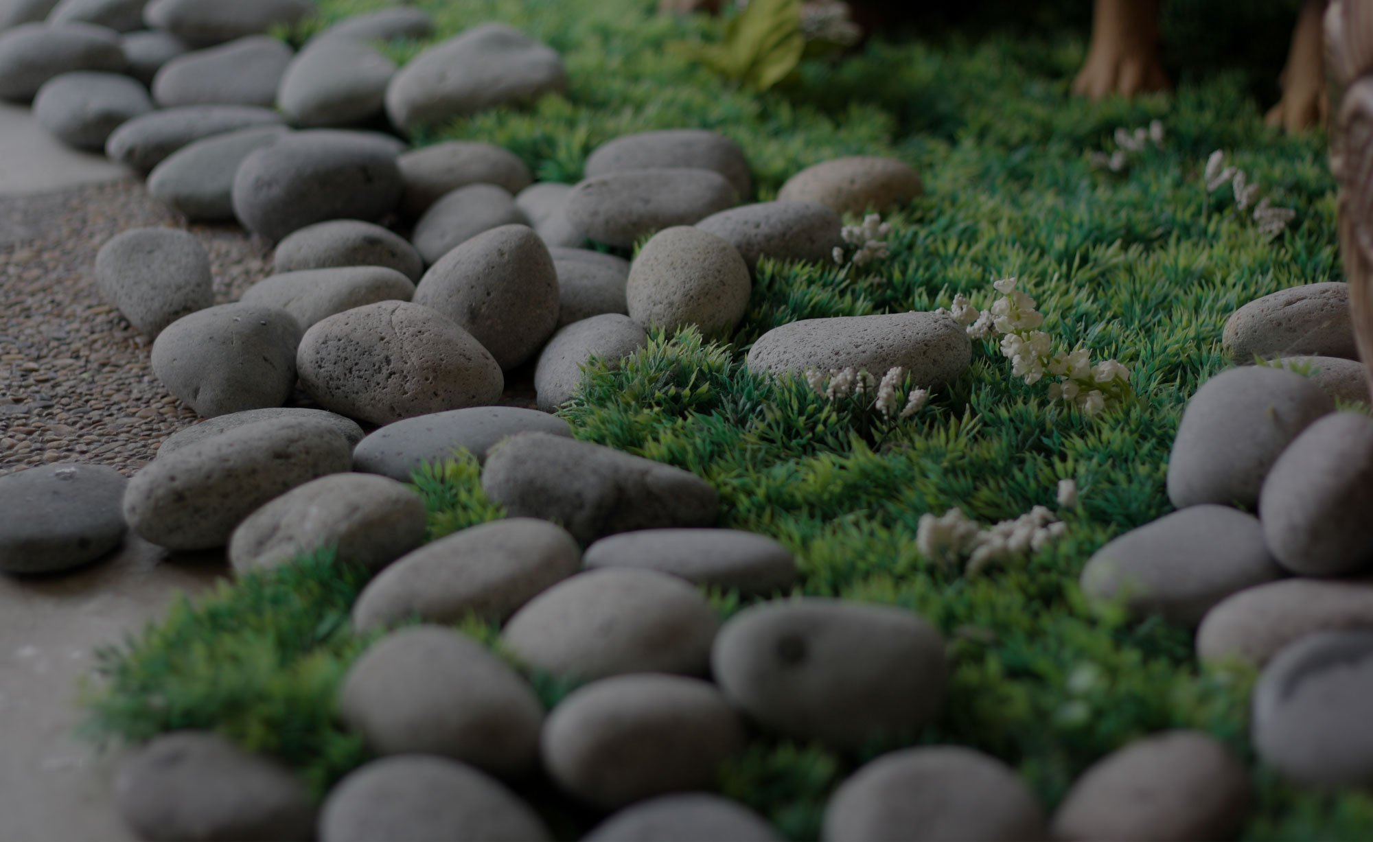 Fall Seasonal Landscaping Tips | Greenworks Ecoscapes