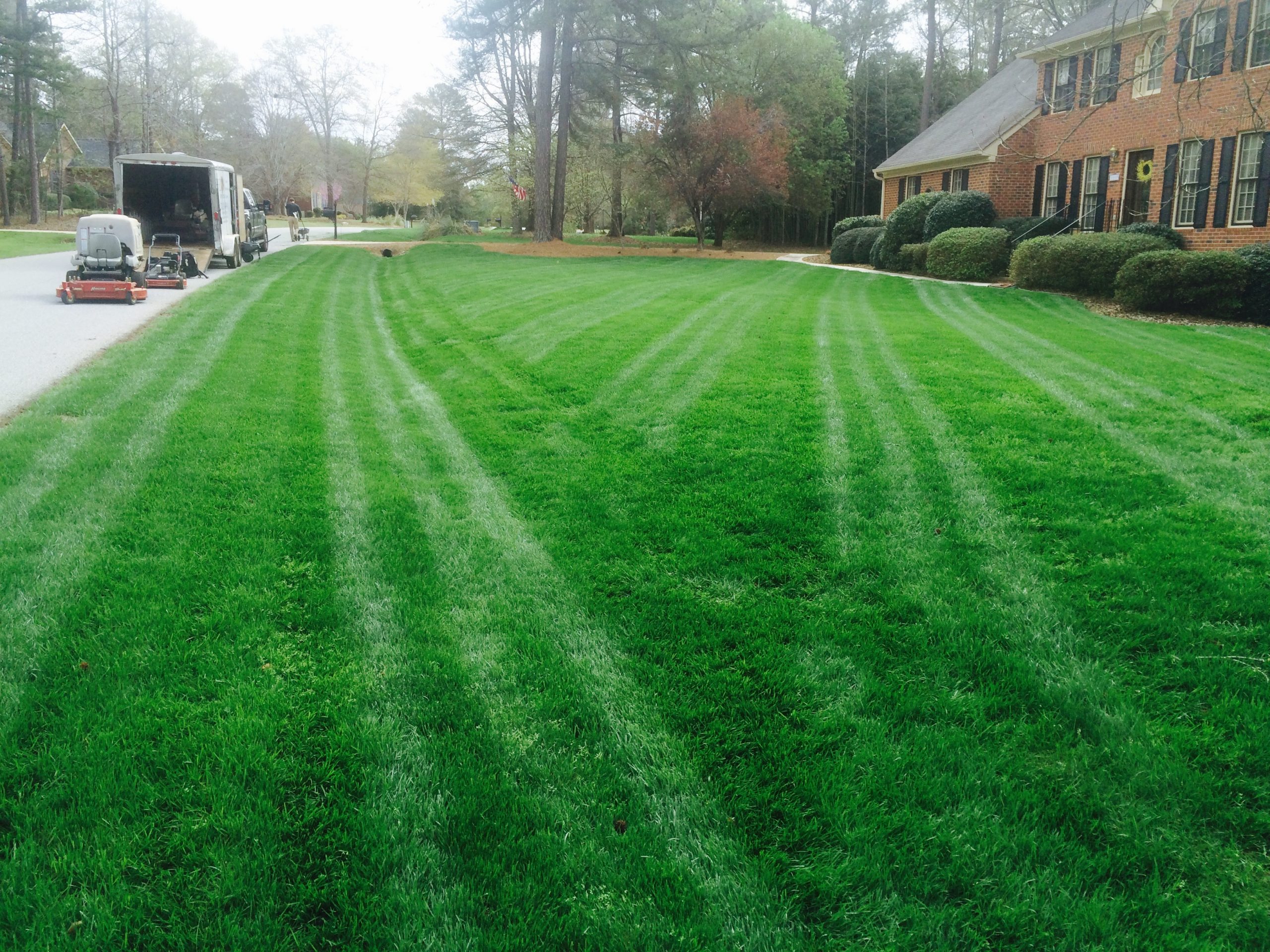 Choosing Warm Season Grass Seed | Greenworks Ecoscapes